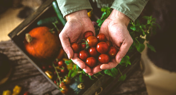 The Top 5 Benefits of Farm-to-Table Meal Delivery